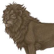 Mane Colors | Lioden Wiki | Fandom