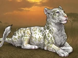 Category:Markings | Lioden Wiki | Fandom