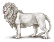 Base Colors | Lioden Wiki | Fandom