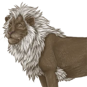 Marking Guide | Lioden Wiki | Fandom