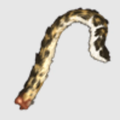 Leopard Tail | Lioden Wiki | Fandom
