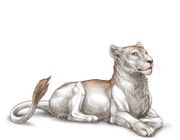 Marking Guide | Lioden Wiki | Fandom