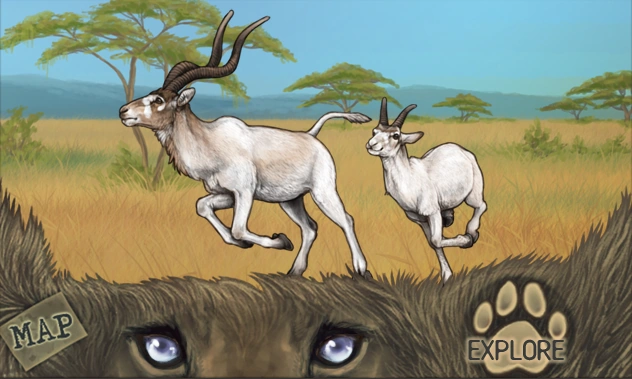 Anti-Poaching | Lioden Wiki | Fandom