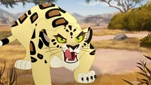 Makucha | Lion King/Lion Guard Wikia | Fandom