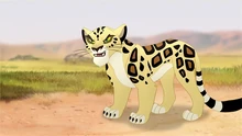 Makucha | Lion King/Lion Guard Wikia | Fandom