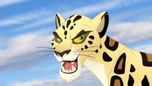 Makucha | Lion King/Lion Guard Wikia | Fandom