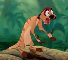 Timon | Lion King/Lion Guard Wikia | Fandom