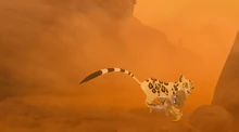 Makucha | Lion King/Lion Guard Wikia | Fandom