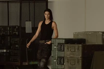 Shatter the Moon | Lioness Wiki | Fandom