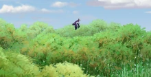 Anga | The Lion Guard Wiki | Fandom