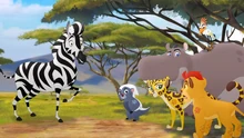 Thurston | The Lion Guard Wiki | Fandom
