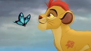 Butterflies/Gallery/Bunga the Wise (episode) | The Lion Guard Wiki | Fandom