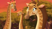 Giraffes | The Lion Guard Wiki | Fandom