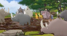 Lion Guard (group) | The Lion Guard Wiki | Fandom