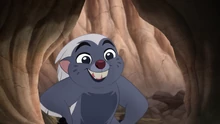 Bunga | The Lion Guard Wiki | Fandom