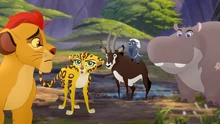 Bunga and the King | The Lion Guard Wiki | Fandom