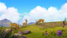 Male Bushbuck | The Lion Guard Wiki | Fandom