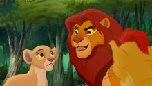 Simba | The Lion Guard Wiki | Fandom