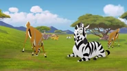 Hamu/Gallery/The Mbali Fields Migration | The Lion Guard Wiki | Fandom