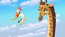 Twiga | The Lion Guard Wiki | Fandom