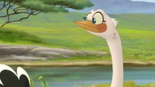 Ostriches | The Lion Guard Wiki | Fandom