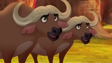 Buffaloes | The Lion Guard Wiki | Fandom