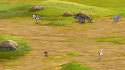 Kambuni/Relationships | The Lion Guard Wiki | Fandom