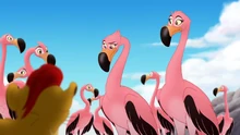 Flamingo Girl 1/Relationships | The Lion Guard Wiki | Fandom