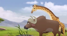 Twiga | The Lion Guard Wiki | Fandom