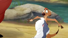 Timon | The Lion Guard Wiki | Fandom