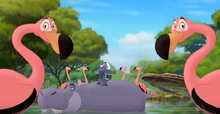 Flamingos | The Lion Guard Wiki | Fandom