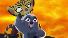 Bunga | The Lion Guard Wiki | Fandom