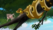 Pythons | The Lion Guard Wiki | Fandom