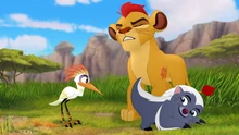 Bunga | The Lion Guard Wiki | Fandom