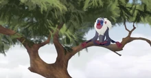 Rafiki | The Lion Guard Wiki | Fandom