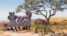 Kenge | The Lion Guard Wiki | Fandom
