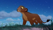 Rani | The Lion Guard Wiki | Fandom