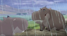 Basi | The Lion Guard Wiki | Fandom