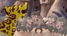 Baby Baboon's Mother | The Lion Guard Wiki | Fandom