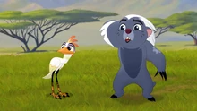 Bunga | The Lion Guard Wiki | Fandom