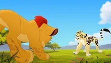 Makucha | The Lion Guard Wiki | Fandom