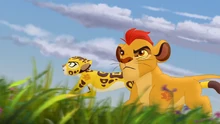 Kion | The Lion Guard Wiki | Fandom