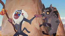 Rafiki | The Lion Guard Wiki | Fandom