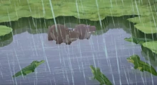 Crocodiles | The Lion Guard Wiki | Fandom