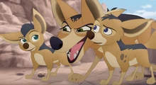 Dogo | The Lion Guard Wiki | Fandom