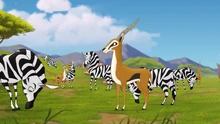 The Mbali Fields Migration | The Lion Guard Wiki | Fandom