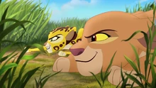 Kiara | The Lion Guard Wiki | Fandom