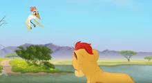 Ono | The Lion Guard Wiki | Fandom