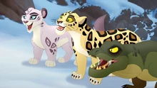 Ora | The Lion Guard Wiki | Fandom