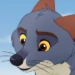 Foxes | The Lion Guard Wiki | Fandom